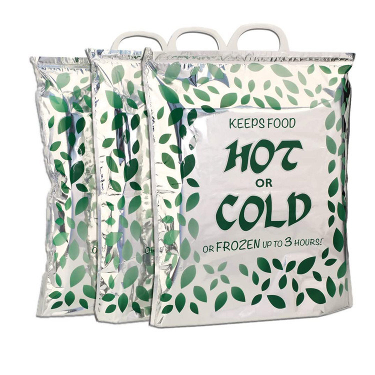 Plastic Disposable 4hours Hot Cold Insulated Bags Picnic Use Plastic Disposable 4hours Hot Cold Insulated Bags Picnic Use